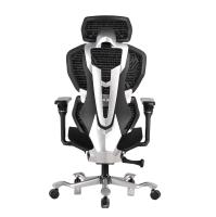 China High Back Ergonomic Office Mesh Chair Racing Chair Black with 5D Armrest for sale