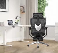 China Executive Computer Swivel Office Chair Ergonomic With 5D Adjustable Armrest for sale