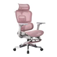 China Boss Nylon High Back Ergonomic Mesh Office Chair Height Adjustable With 5D Armrest for sale