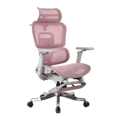 China Boss Nylon High Back Ergonomic Mesh Office Chair Height Adjustable With 5D Armrest for sale