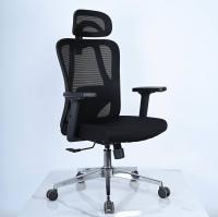 China Executive Ergonomic Office Chair with 2D Armrest / 2D Back Lumbar Part for sale