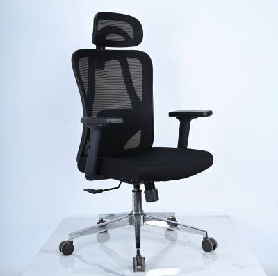China Executive Ergonomic Office Chair with 2D Armrest / 2D Back Lumbar Part for sale