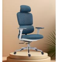 China White Adjustable 4D Armrest Ergonomic Mesh Office Chair 3 Positions Backrest for Staff for sale