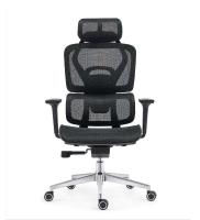 China Sports Modern Mesh Fabric Ergonomic Office Chair Back Height Adjustable for sale