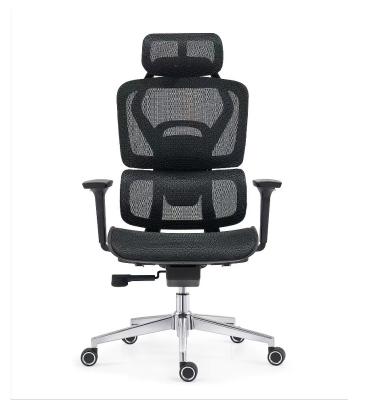 China Sports Modern Mesh Fabric Ergonomic Office Chair Back Height Adjustable for sale