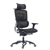 China Aluminium Ergonomic Lumbar Support Office Chair with High Back for sale