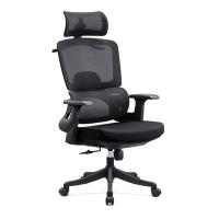 China CEO Aluminium Ergonomic Office Chair with High Back 3D Lumbar Support for sale