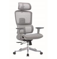 China Full Mesh Executive Ergonomic Office Chairs Back Adjustable With 3 Stops Tiling for sale