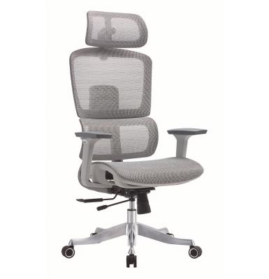 China Full Mesh Executive Ergonomic Office Chairs Back Adjustable With 3 Stops Tiling for sale