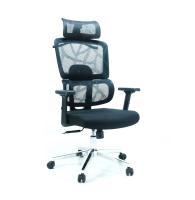 China CEO Office Gaming Ergonomic Computer Chair With 2D Armrest for sale