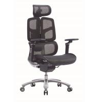 China Modern Ergonomic Full Mesh Chair 6D Armrest 2D Lumbar Office Chair for sale