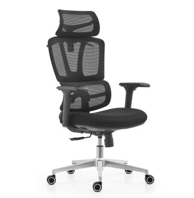 China Executive High Back Ergonomic Mesh Office Chair Revolving With Chrome Leg for sale