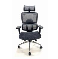 China Full Mesh Swivel Ergonomic Office Chair With Lumbar Protection High Back for sale
