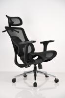 China Adjustable 4D Armrests Ergonomic Office Chair With Class 4 Gas Spring for sale