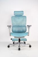China Executive Office Chair with Lumbar Support 5D Arms Task chair Rolling Swivel Racing Chair for sale