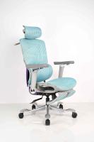 China Executive Office Chair with Lumbar Support 5D Arms Task chair Rolling Swivel Racing Chair for sale
