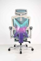 China Executive Office Chair with Lumbar Support 5D Arms Task chair Rolling Swivel Racing Chair for sale
