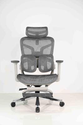 China 2-Pcs Lumbar Support Ergonomic Desk Chair 3D Armrest & Vertical Adjustable Back Multi-Functional Breathable Office Chair for Long-Time Working for sale