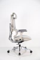 China Ergonomic Mesh Office Chair with Lumbar Support for sale