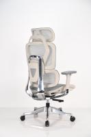 China Ergonomic Mesh Office Chair with Lumbar Support for sale