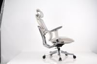 China Ergonomic Mesh Office Chair with Lumbar Support for sale