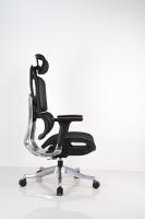 China Ergonomic Mesh Office Chair with Lumbar Support for sale