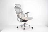 China Ergonomic Mesh Office Chair with Lumbar Support for sale