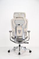 China Ergonomic Mesh Office Chair with Lumbar Support for sale