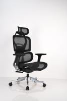 China Ergonomic Mesh Office Chair with Lumbar Support for sale