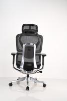 China Ergonomic Mesh Office Chair with Lumbar Support for sale