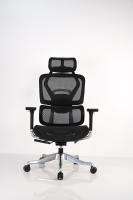 China Ergonomic Mesh Office Chair with Lumbar Support for sale