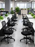 China Office chair with 3D/4D adjustable armrests for sale