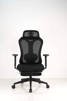 China Modern Ergonomic Mesh Office Chair with 3D Head Support 2D Lumbar Support and 360 Degree Swivel for sale