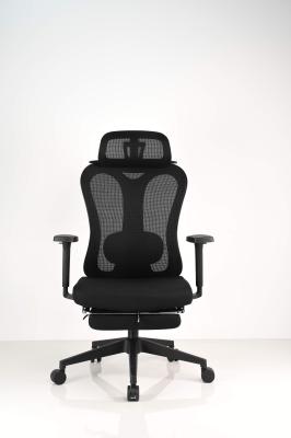 China Modern Ergonomic Mesh Office Chair with 3D Head Support 2D Lumbar Support and 360 Degree Swivel for sale