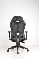 China Modern Ergonomic Mesh Office Chair with 3D Head Support 2D Lumbar Support and 360 Degree Swivel for sale