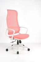 China Affordable ergonomic office chair for sale