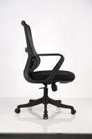 China Staff office chair with lumbar support for sale