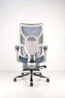 China High back ergonomic mesh office chair with height adjustable headrest with 5D adjustable armrest for sale