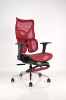 China High back ergonomic mesh office chair with height adjustable headrest with 5D adjustable armrest for sale