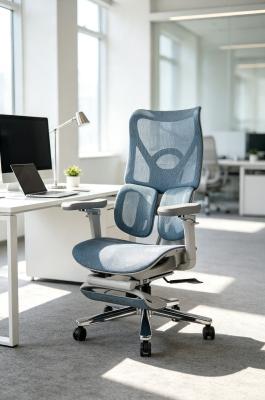 China High back ergonomic mesh office chair with height adjustable headrest with 5D adjustable armrest for sale
