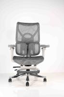 China Ergonomic Swivel Chair with Height Adjustable Lumbar Support 5D Armrest and PU Nylon Castors for sale