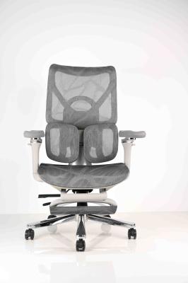 China Ergonomic Swivel Chair with Height Adjustable Lumbar Support 5D Armrest and PU Nylon Castors for sale