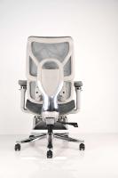 China Ergonomic Swivel Chair with Height Adjustable Lumbar Support 5D Armrest and PU Nylon Castors for sale