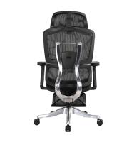 China High End Ergonomic Office Chair with 4D Adjustable Armrest and Multi-angle Head Support on Aluminum Alloy Base for sale