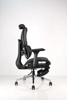 China Affordable Ergonomic Office Chair with 2-Part Lumbar Support 4D Adjustable Armrest and PU Nylon Castors for sale