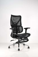 China Affordable Ergonomic Office Chair with 2-Part Lumbar Support 4D Adjustable Armrest and PU Nylon Castors for sale