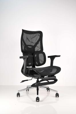 China Budget Ergonomic Office Chair with 2 Part Lumbar Support 4D Armrest and PU Nylon Castors for sale
