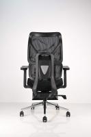 China Affordable Ergonomic Office Chair with 2-Part Lumbar Support 4D Adjustable Armrest and PU Nylon Castors for sale