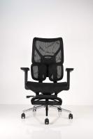 China Affordable Ergonomic Office Chair with 2-Part Lumbar Support 4D Adjustable Armrest and PU Nylon Castors for sale