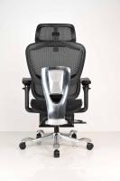 China Ergonomic Office Chair with Aluminum Alloy Back Support Height Adjustable and Lumbar Support for sale